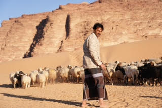 The Goat Life – Cast, Crew & Movie Gallery – www.mykollywood.com