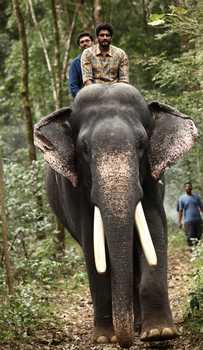 KUMKI 2 CAST AND CREW & Movie Gallery – www.mykollywood.com