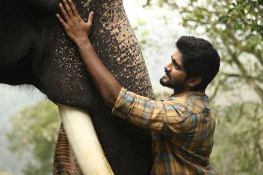 KUMKI 2 CAST AND CREW & Movie Gallery – www.mykollywood.com